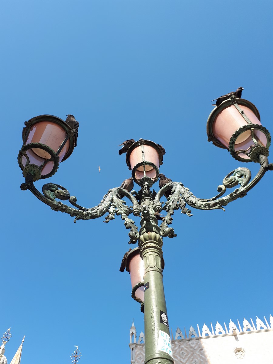 REMEMBERING VENICE – THE ART AND ARCHITECTURE – Number One London